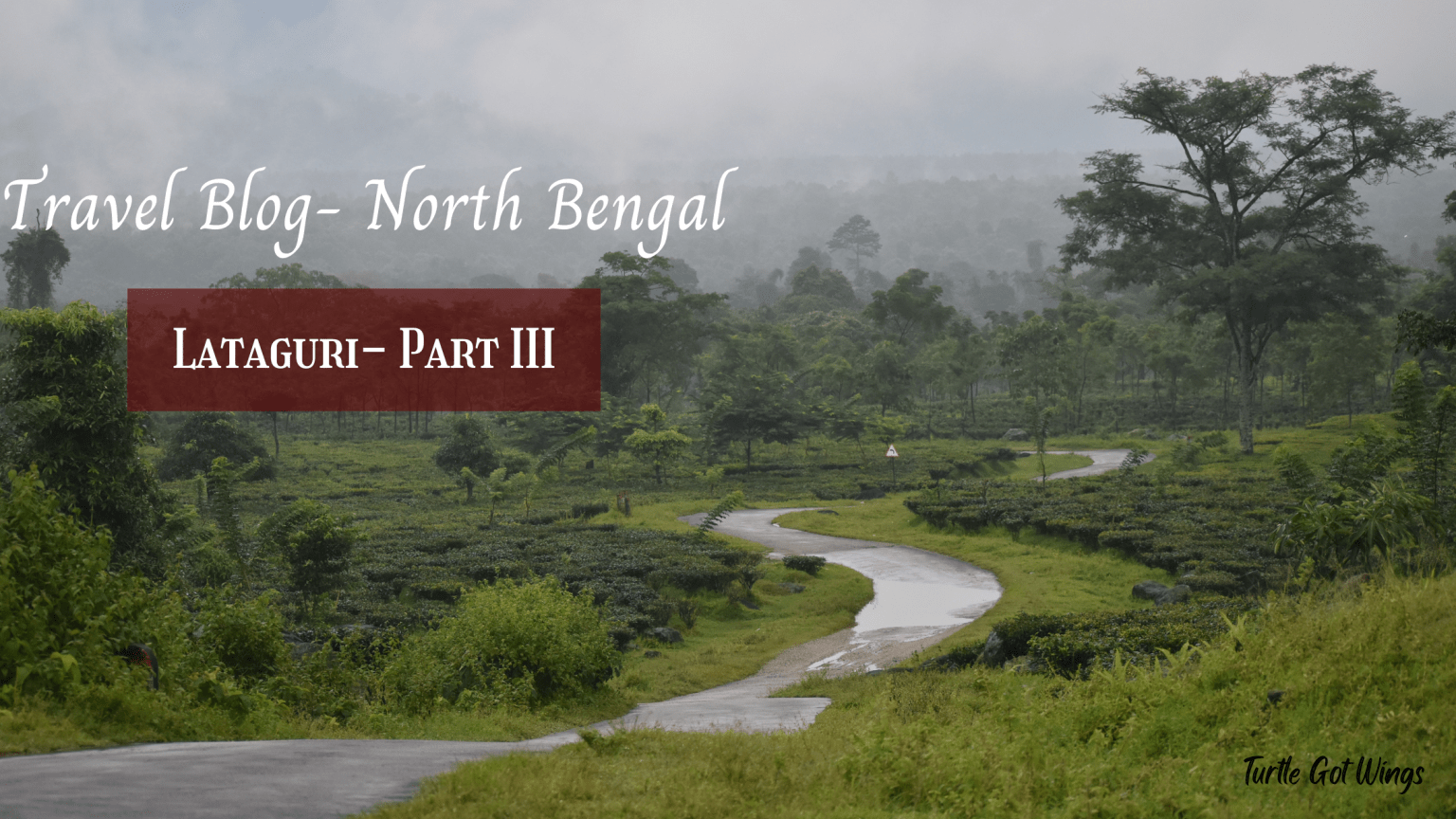 North Bengal Travel Blog Post: LATAGURI Part III- Sightseeing ...