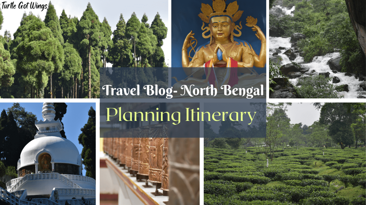 North Bengal Travel Blog Post: Planning Itinerary – TurtleGotWings